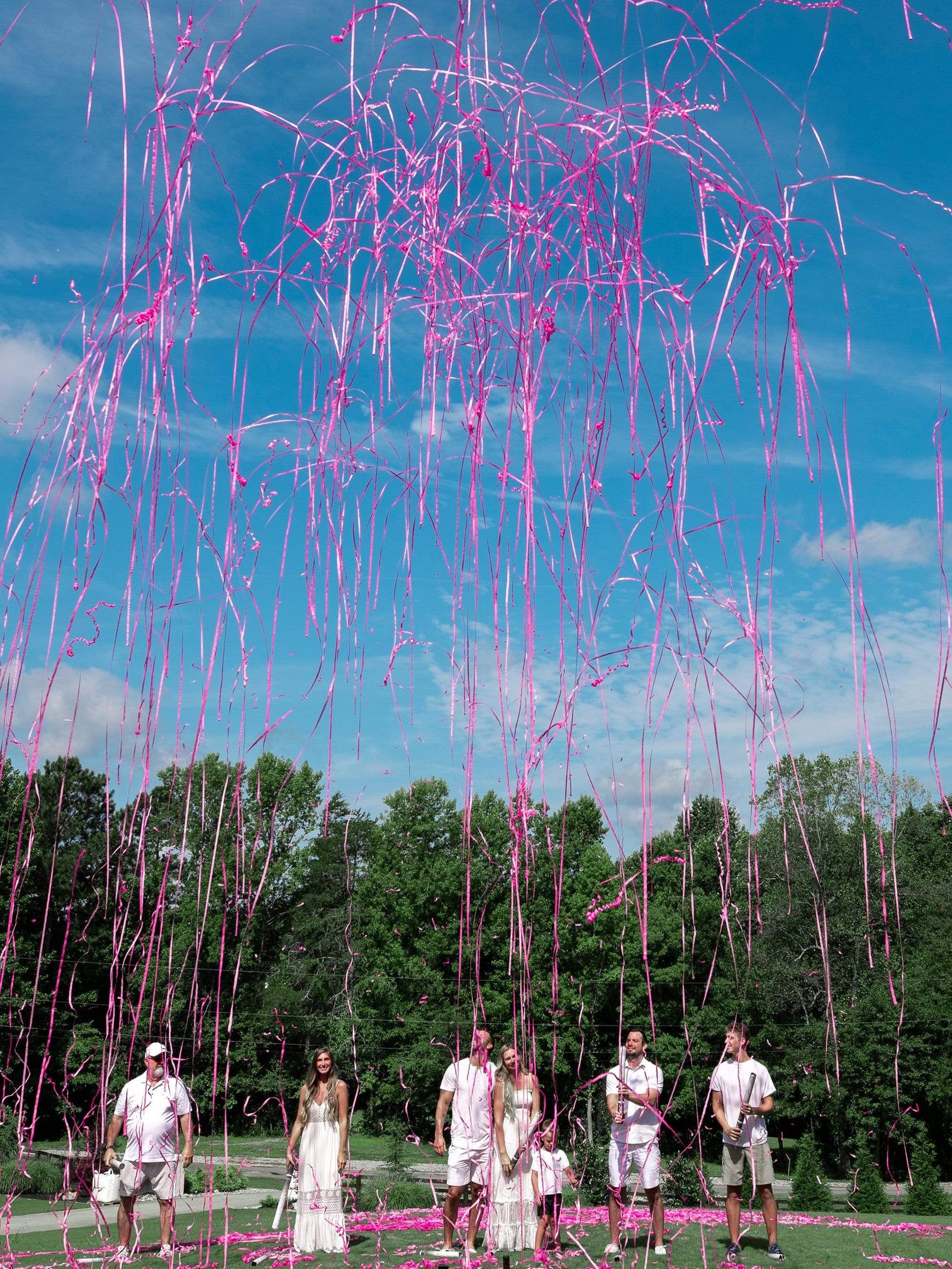 Baby Gender Reveal Streamer Cannon Pink Purple Blue Green – POOF THERE ...